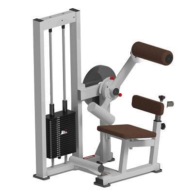 Buy Sport-Thieme Ab & Back Machine “OV” - Sport-Thieme