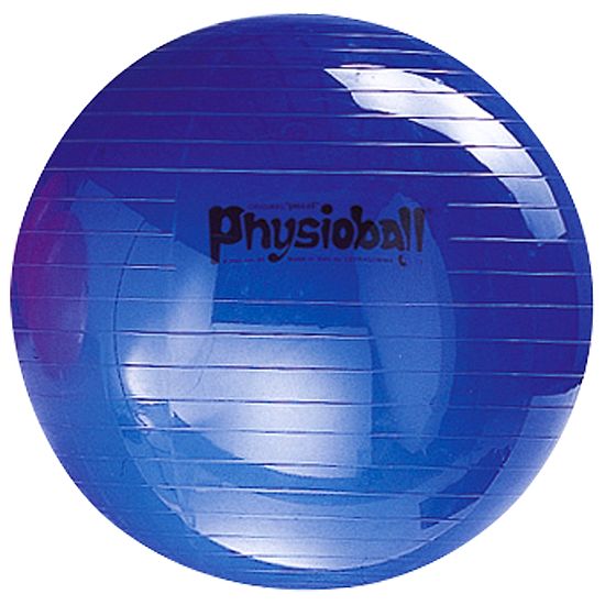 Ledragomma "Original Pezziball" Exercise Ball buy at Sport-Thieme.com