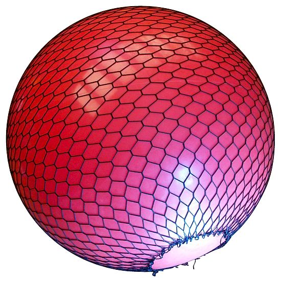 Net for Large Exercise Balls buy at Sport-Thieme.com