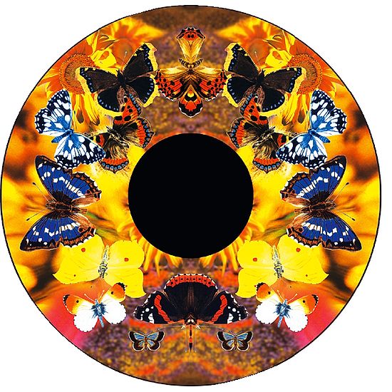 Opti Kinetics "Butterflies" Effect Wheel buy at Sport-Thieme.com