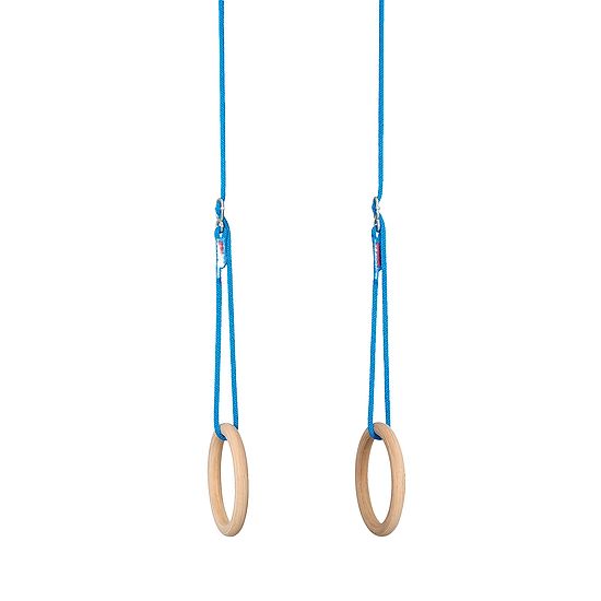 Sport-Thieme Indoor Ring Swing Set buy at Sport-Thieme.com