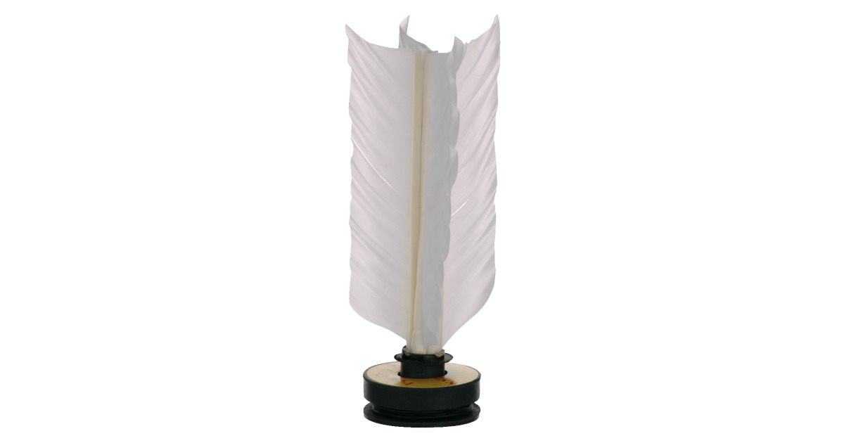 Feather Football buy at Sport-Thieme.com